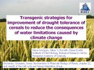 PPT – Selection of Drought-Tolerant Plants PowerPoint presentation ...