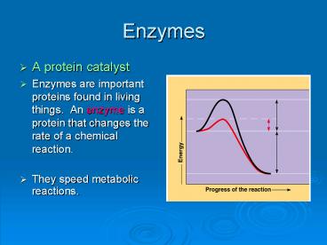 Enzymes presentation | free to view
