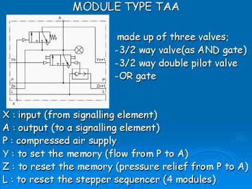 MODULE TYPE TAA presentation | free to view