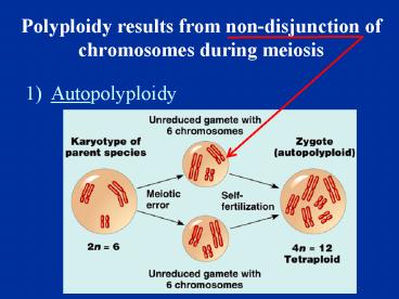 Polyploidy results from nondisjunction of chromosomes during meiosis ...