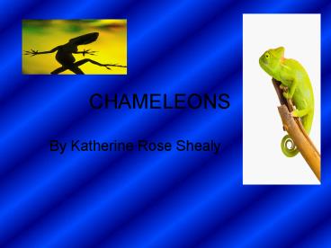 CHAMELEONS presentation | free to view