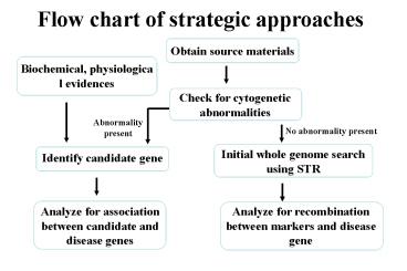 Flow chart of strategic approaches presentation | free to view