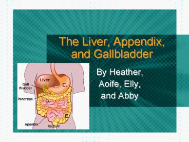 The Liver, Appendix, and Gallbladder presentation | free to view