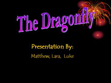 The Dragonfly presentation | free to view