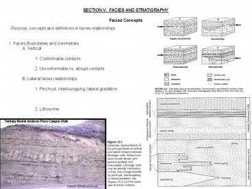 SECTION V: FACIES AND STRATIGRAPHY presentation | free to view