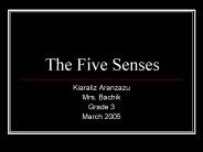 PPT – The five senses PowerPoint presentation | free to view - id ...