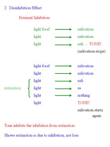 2. Disinhibition Effect presentation | free to view