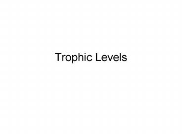 Trophic Levels presentation | free to view