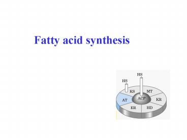 PPT – Fatty acid synthesis PowerPoint presentation | free to view - id ...