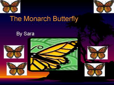 The Monarch Butterfly presentation | free to view