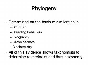 PPT – Phylogeny PowerPoint presentation | free to view - id: 27ee28-NTdjO