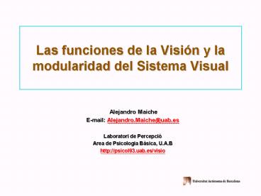 PPT – Las funciones de la Visin y la modularidad del Sistema Visual ...