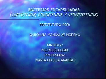 BACTERIAS ENCAPSULADAS LEPTOTHRIX, CRENOTHRIX Y STREPTOTHRIX ...