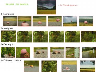 1 La mouche presentation | free to view