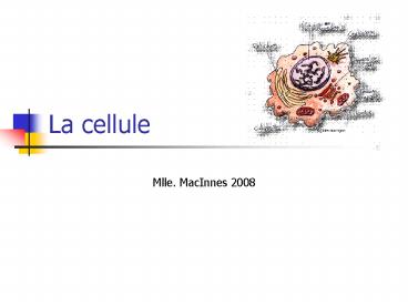 PPT – La cellule PowerPoint presentation | free to view - id: 2a5576-ZDc1Z