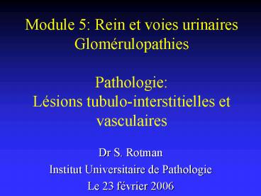 PPT – Module 5: Rein et voies urinaires Glomrulopathies Pathologie ...