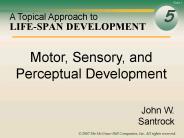 PPT – Lifespan Development PowerPoint presentation | free to view - id ...
