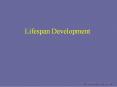 PPT – Lifespan Development PowerPoint presentation | free to view - id ...