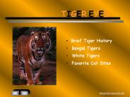 PPT – BENGAL TIGER PowerPoint presentation | free to view - id: 40d68-ZTY2M