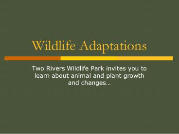PPT – Wildlife Adaptations PowerPoint presentation | free to view - id ...