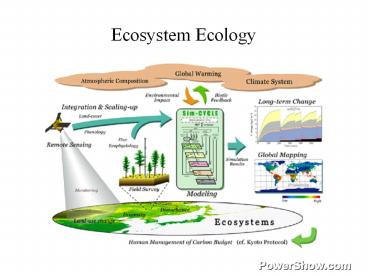 Ecosystem Ecology presentation | free to view