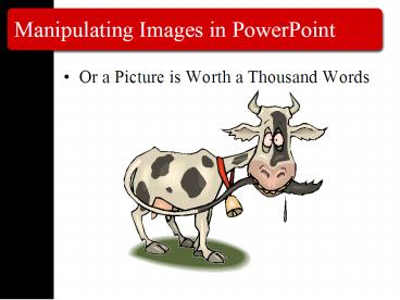 Manipulating Images in PowerPoint presentation | free to view