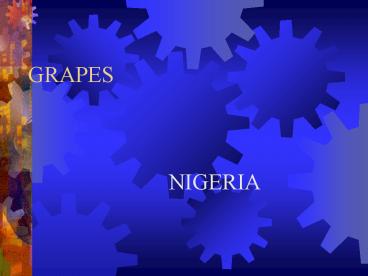 PPT – GRAPES PowerPoint presentation | free to view - id: 4088-Y2EwN