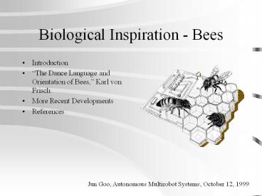 PPT – Biological Inspiration - Bees PowerPoint presentation | free to ...