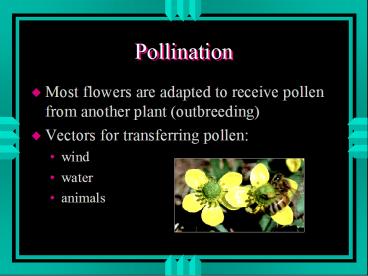 Pollination presentation | free to view