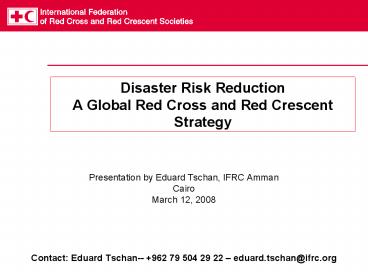 Disaster Risk Reduction A Global Red Cross and Red Crescent Strategy ...