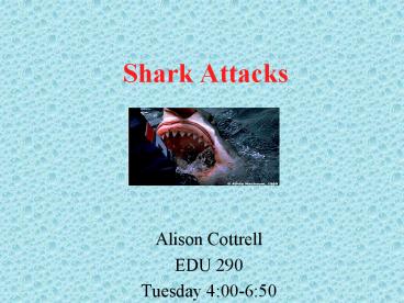 PPT – Shark Attacks PowerPoint presentation | free to view - id: 7877-ODNlY