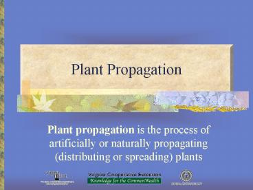 Plant Propagation presentation | free to view