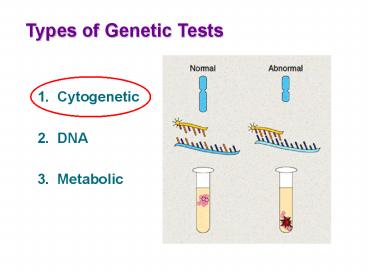 PPT – 1. Cytogenetic PowerPoint presentation | free to view - id: 88ef ...