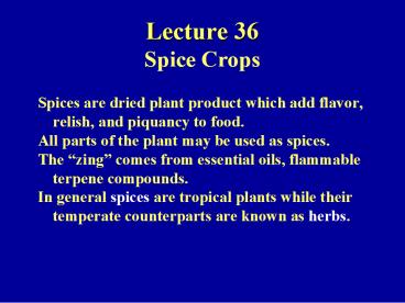 Lecture 36 Spice Crops presentation | free to view