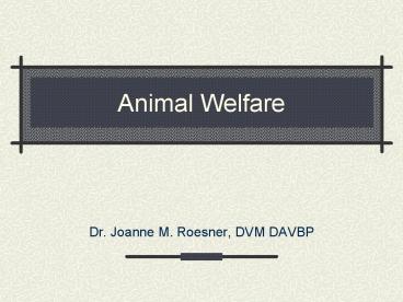 Animal Welfare presentation | free to view