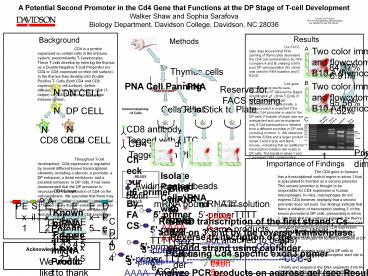 PPT – In DP cells, it has been demonstrated that the DP enhance ...