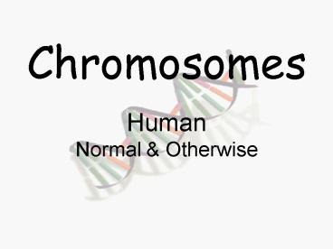 Chromosomes presentation | free to view
