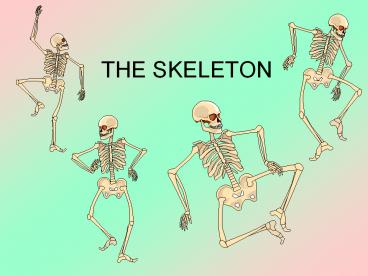 PPT – THE SKELETON PowerPoint presentation | free to view - id: 12882-YjRhN