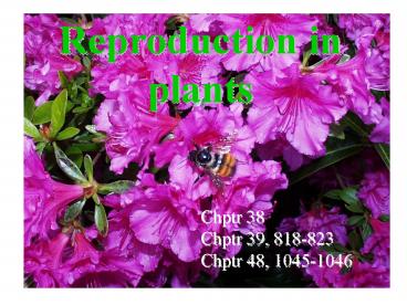 Reproduction in plants presentation | free to view