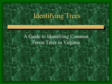 Identifying Trees Presentation Free To View