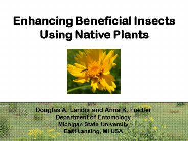 Enhancing Beneficial Insects presentation | free to view