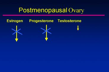 PPT – Estrogen Progesterone Testosterone PowerPoint presentation | free ...
