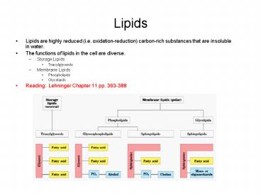 Lipids presentation | free to view