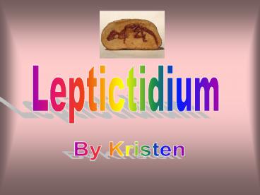 Leptictidium presentation | free to view