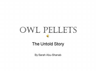 OWL PELLETS presentation | free to view