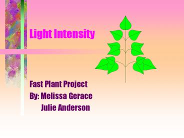 Light Intensity presentation | free to view