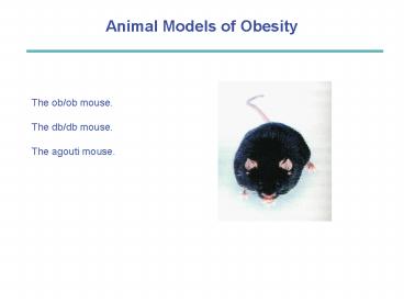 Animal Models of Obesity presentation | free to view