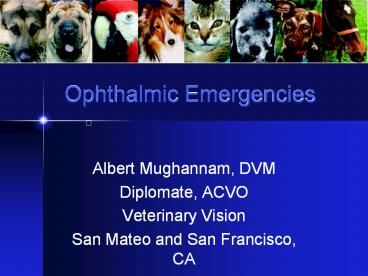Ophthalmic Emergencies presentation | free to view