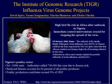 The Institute of Genomic Research TIGR Influenza Virus Genome Projects ...