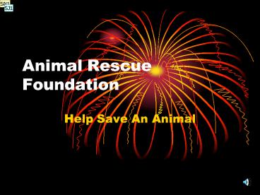 PPT – Animal Rescue Foundation PowerPoint presentation | free to view ...